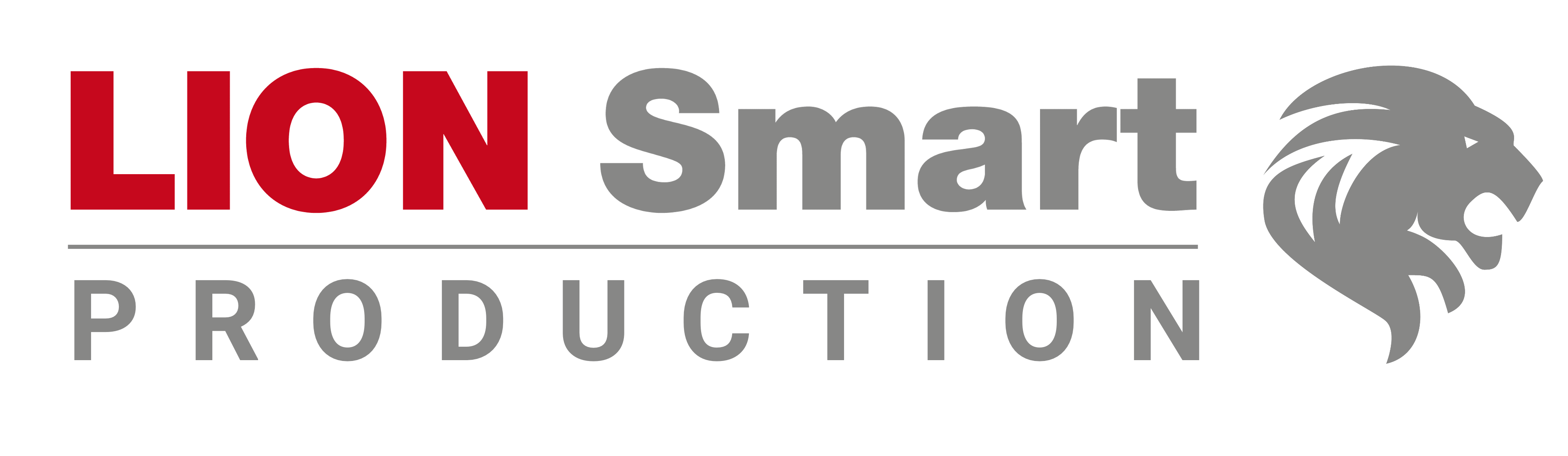 LION Smart Production GmbH – LION Smart GmbH